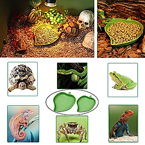 3pcs Tortoise Food Dish with Ramp and Basking Platform Leaf Tortoise Water Food Bowls Reptile Water Dish Turtle Reptile Pool for Amphibians Brown