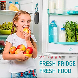 PURGGO Bamboo Charcoal Shoe Deodorizer Air Purifying Bag - Natural Odor Eliminator - Last 365+ Days - No Chemicals - Air Freshener for Shoes and Closet - Remove Odor Naturally - [2 Pack] [Gray]