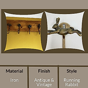 Knobs By Blossom Vintage Antique Brass Iron Wall Hooks Tie Backs Bronze Handmade Metal Animal Hook (5. Running Rabbit), TFVSAH