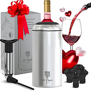 12 Degrés Wine Chiller Set - Perfect Wine Gifts for Women & Men - Stainless Steel Insulated Wine Cooler with Wine Pump, Aerator & 4 Stoppers (Silver)