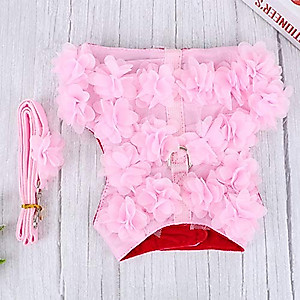 POPETPOP Dog Leash and Harness for Girls,Cute Dog Flower Harness Waking Vest Harness and Pet Leash for Halloween Wedding Cat Puppy Girl-Size XL