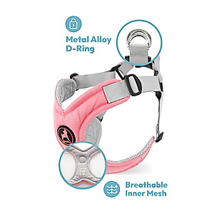 Gooby Memory Foam Step in Harness - Green, Small - No Pull Small Dog Harness Patented Choke-Free X Frame - Perfect on The Go Dog Harness for Medium Dogs No Pull or Small Dogs