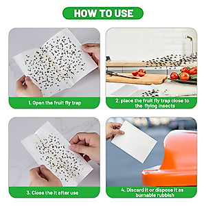 GreenV Fruit Fly Trap for Indoors 10Pack Fly Trap Indoor,Sticky Gnat Traps Fruit Fly Killer for Housefly,Mosquitoes, Spiders, Ants, Plants, White