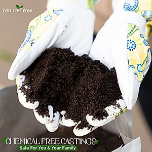 NatureGrow Earth Worm Castings-10lb - Worm Castings Organic, Plant Fertilizer, Earthworm Castings - Pure Worm Castings for Gardening, Organic Worm Casting