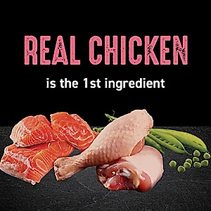 CRAVE Grain Free Indoor Adult High Protein Natural Dry Cat Food with Protein from Chicken & Salmon, 10 lb. Bag