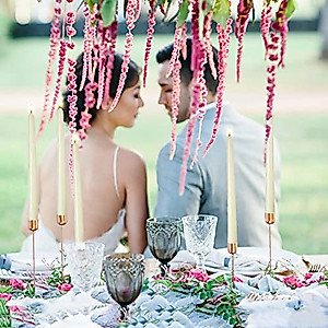 UNICY 20 Pack 10 inch Ivory Taper Candles, Unscented Candlesticks for Christmas Eve and Easter Candlelight Service, Vigil, Memorial 10 Inch, Pack of 20