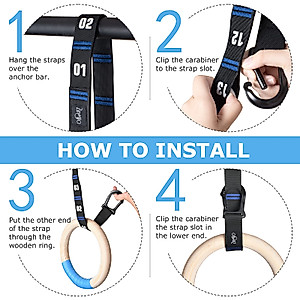 Zingtto Wooden Gymnastic Rings with Adjustable Numbered Straps. 1.25'' Olympic Rings for Core Workout, Crossfit, Bodyweight Training. Home Gym Rings with 8.5ft Exercise Straps and Workout Handles