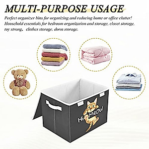 DOMIKING Funny Cat Large Storage Bin with Lid Collapsible Shelf Baskets Box with Handles Closet Organizer for Clothes Toy Gift Storage