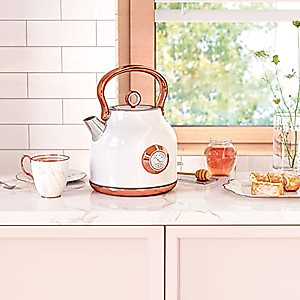 NESSGRAIM Retro Electric Kettle, 1.7L Stainless Steel Tea Kettle with Large Temperature Gauge, 1500W Fast Heating Hot Water Boiler with LED Indicator, Auto Shut-off & Boil-Dry Protection-Elegant White