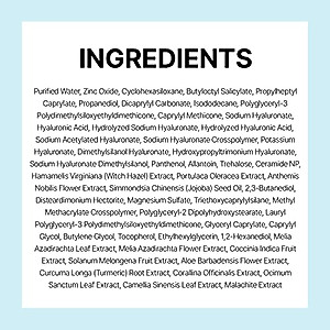 TORRIDEN DIVE-IN Mild Sunscreen, Vegan, Broad Spectrum SPF 50+ PA++++, Non-Nano, Reef-Safe Mineral Sunscreen for All Skin Types | Free of Fragrance, Alcohol, and Colorants | Korean Skin Care