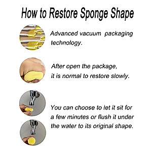 WAFJAMF 30 Pcs Assorted Size Round Sponges Brush Set 4 Sizes DIY Painting Tools- Yellow