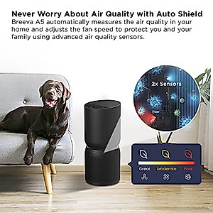 TCL Breeva A5 Smart Air Purifier with 5-Stage Clean, True HEPA (H13), Removes 99.97% of Dust/Bacteria/Odors & More, App & Voice Control, Auto Shield, Ultra-Quiet, Black (A515B)