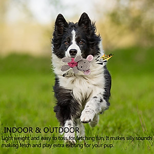 GOOLA Dog Squeaky Toys, Interactive Durable Plush Dog Toy with Squeaker and Crinkle Paper, Natural Rubber Chew Puzzle Dog Toys Leakage Food Toy for Puppy Small Middle Large Dogs, Soft Pet Toys