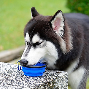 ARTECARE Portable Pet Travel Dog Bowls, 2 Pack Convenient Collapsible Dog Bowls, Small Pet Slow Feeder Design for Dogs Cats Feeding Watering with 2 carabiners