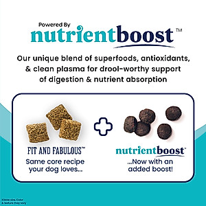 Solid Gold Fit and Fabulous Chicken - Nutrientboost Dry Dog Food for Weight Control - Digestive Probiotics for Dogs Grain & Gluten Free High Fiber & Low Fat - Omega, Superfoods & Antioxidants - 22 LB