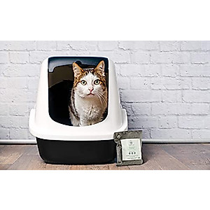 Adhara Sky 12 Pack Bamboo Charcoal Air Purifying Bag, Activated charcoal Bags Odor Absorber, Odor Eliminator for Home, Car, Office, Closet & House Deodorizer (6X200g,2X100g,4X50g,6 Hooks & Strings)