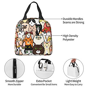 MDMEI Cartoon Cat Lunch Bag for Girls Kids School Insulated Picnic Box for Women Girls Reusable Thremal Washable Meal Pail