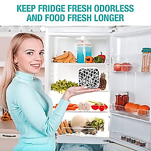 Life Basis Refrigerator Deodorizer Household Fridge Odor Eliminator Odor Absorber for Freezer Last for 10 Years with 2 Adhesive Stickers and CH-cut Upgraded Technology