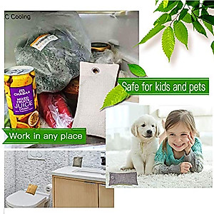 Charcoal bags Odor Absorber Activated Bamboo Charcoal Air Purifying Bag for Home Odor Eliminator Car Air Freshener for Closet Deodorizer Shoe Room Basement Litter Box Pet safe Bag 15Packs×100g