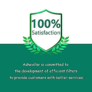 Asheviller MK01 MK06 Replacement Filter, Compatible with AROEVE MK01 MK06 and Kloudi DH-JH01, Intelabe EPI080/EP1080& Elechomes EPI081/EP1081 Air Purifier, Pet Dander Version, 2Pack (MK01 Green)