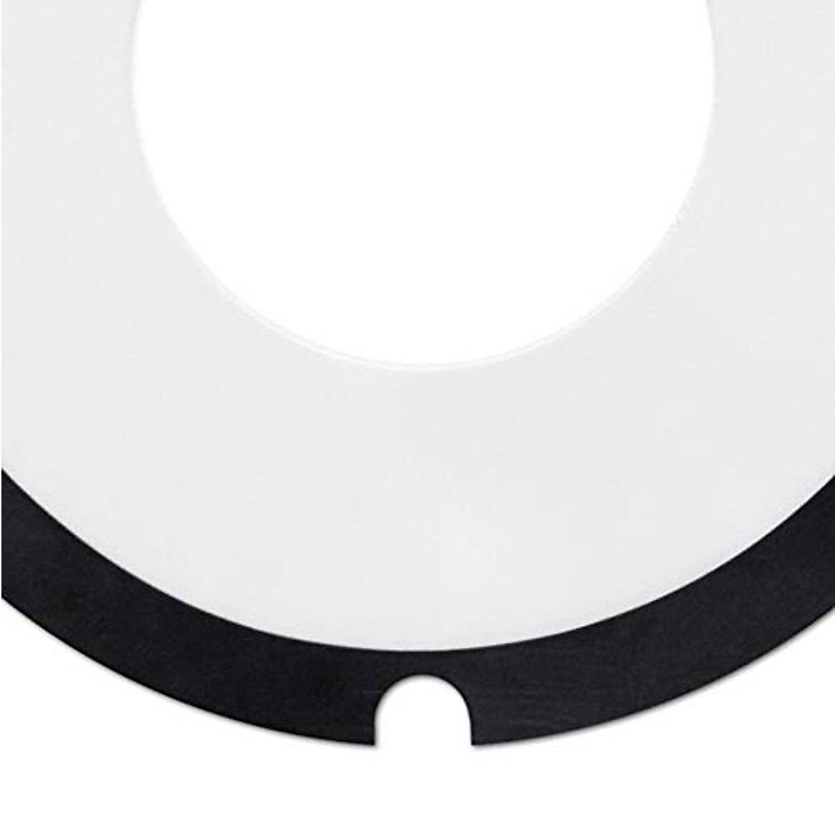 Big Fat Snare Drum Snare Drum Head (BFSD12)