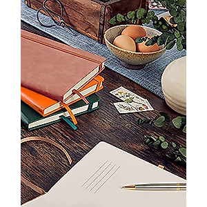 BEECHMORE BOOKS Dotted Notebook - Regular Size, Brown | Premium Dot Grid Journal with Vegan Leather, Thick 160gsm Cream Paper | Professional Bullet Book | Gift Box | For Artists, Planners & Designers