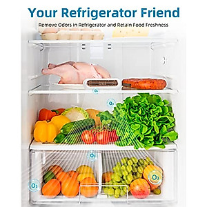 SEANCHEER Fridge Deodorizer, Mini USB-C Rechargeable Reusable Refrigerator Deodorizer, Refrigerator Odor Eliminator with Hook Lanyard for Fridge Wardrobe Shoes Cabinet