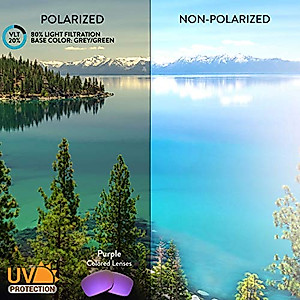 Apex Lenses Non-Polarized Replacement Lenses for Dragon Hype Sunglasses (Purple)