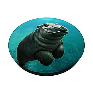 Baby Hippo Hippopotamus Exotic African Animal PopSockets PopGrip: Swappable Grip for Phones & Tablets