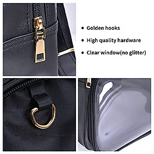 Patty Both Clear Backpack Transparent Ita Bag for Anime Lolita Bag DIY Cosplay(Ita Bag, Black)