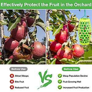 Wasp Trap Bee Catcher, Outdoor Hanging Carpenter Bee Traps with 4 Sticky Boards - Green, 2 Pack