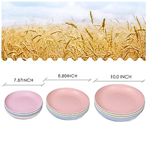 shopwithgreen Wheat Plastic Reusable Dinner Plates, Camping Outdoor Plates Sets, for Kitchen, Dorm Room, Microwave Dishwasher Safe, Unbreakable and Lightweight, 10 Inch, 4 PCS