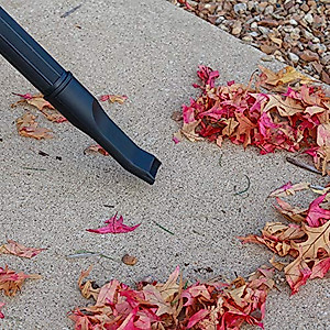 WORKSHOP Wet/Dry Vacs Vacuum Accessories WS25003A 2-1/2-Inch Car Nozzle Shop Vacuum Attachment For Wet/Dry Shop Vacuum, Black