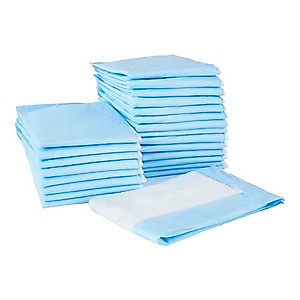 McKesson Classic Underpads, Incontinence Bed Pads, Light Absorbency, 17 in x 24 in, 300 Count