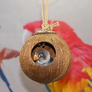 SLDHFE Coconut Bird Nest Hut,Natural Coconut Shell Bird Nest House,Coconut Bird Shell Breeding Nest for Hamster,Bird Cage Accessories,Pet Bird Supplies