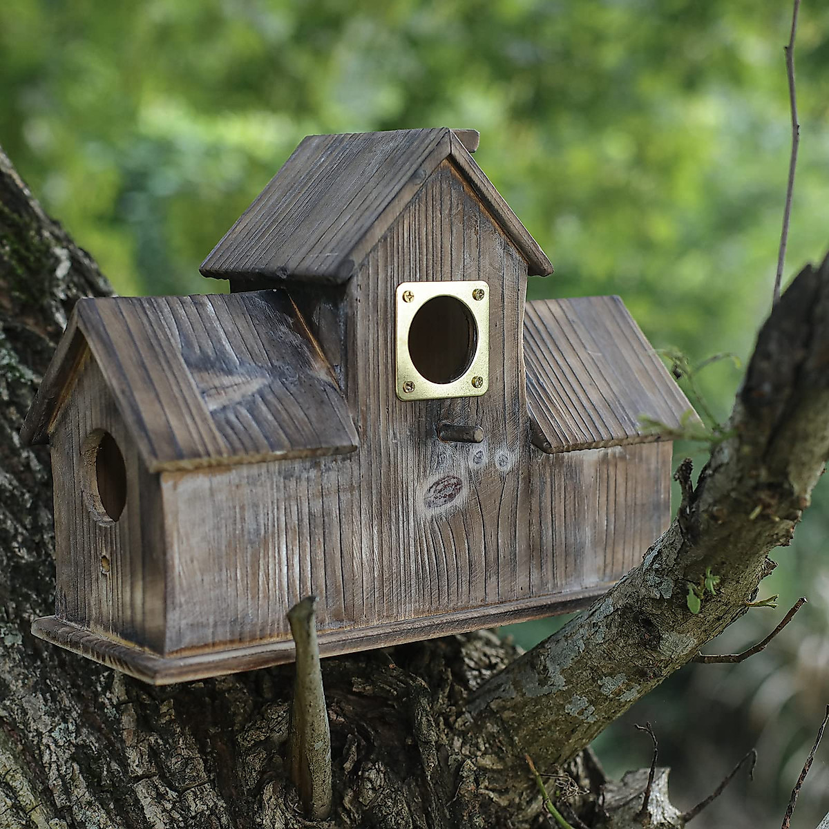 Bluebird House Predator Guard,Metal Birdhouse Guard,Bird House Hole ...