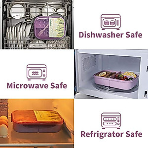 Itopor® Lunch Box,Natural Wheat Fiber Materials,Ideal Bento Box for Kids and Adults,Leak Proof Kids Lunch Box,BPA-Free,Mom's Choice,Healthy Food-Safe Bento Lunch Boxes for Family(Purple)