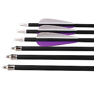 IRQ 31 Inch Carbon Arrow Quiver Set Spine 400 for Compound Recurve Long Bows Target Practice and Hunting Arrows, 12 Pack Carbon Fiber Arrow Plus 1 Quiver