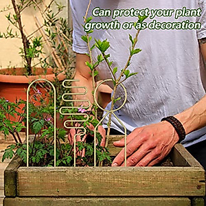 6Pcs Plant Trellis, Gold Trellis for Climbing Plants Indoor, Mini Trellis for Potted Plants Support Stake House Plant Trellis for Garden Potted Plant, Hoya, Pothos, Flower, Monstera