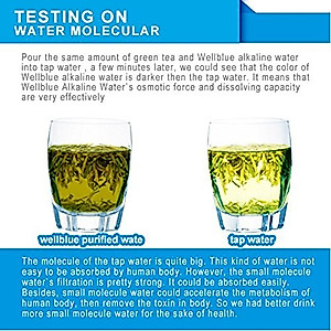 EHM 2 Pack Alkaline Mineral Water Filters Replacement Cartridges (Blue)