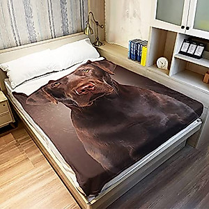 HommomH Chocolate Lab Blanket, Brown Labrador Dog Print, Soft Fluffy Fleece Throw, 50"x60"