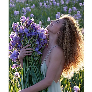 Guerlain Aqua Allegoria Orange Soleia Eau De Toilette Spray for Unisex, 4.2 Ounce