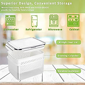 WBKTOOL Fruit Storage Containers for Fridge, 3 Pack Vegetable Container Produce Saver with Drain Colanders + Lids, Berry Containers Salad Lettuce Food Fresh Keeper for Refrigerator Organizer