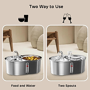 iPettie Cat Feeder and Waterer Combo, Twins Water Fountain Stainless Steel with Two Spouts, 101oz/3.0L, Food and Water Dispenser, 5-Stage Filtration Water Purifier