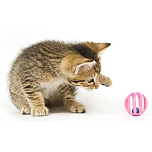 Fashion's Talk 12PCS Value Pack Plastic Ball Cat Toys Lattice Balls with Bell Jingle Kitten Toy,Gift Box 1.5" 6 Styles