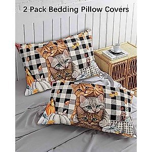 Thanksgiving Pillow Covers Standard Size Set of 2 Bed Pillow, Fall Pumpkin Cats Maple Leaf Black White Plaid Plush Soft Comfort for Hair/ Skin Cooling Pillowcases with Envelop Closure 20''x26''