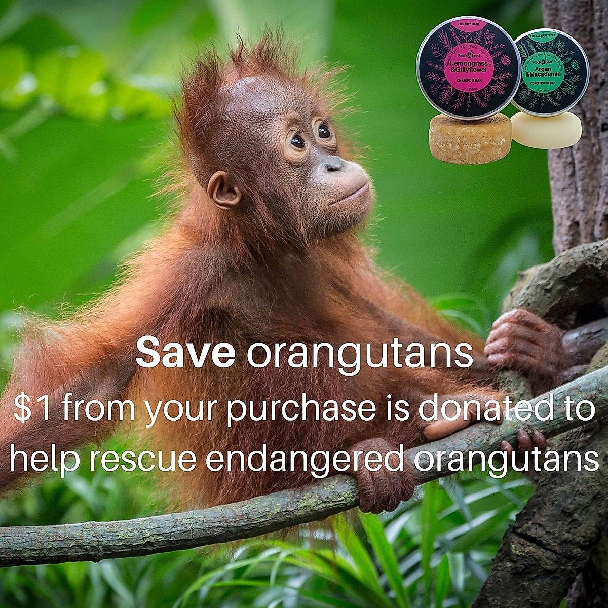 Shampoo Bar and Conditioner Bar Travel Set, Lemongrass & Gillyflower for Dry Hair, Sulfate Free, Palm Oil Free, Plastic Free, Eco-Friendly Natural Solid Bars