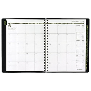 AT-A-GLANCE Weekly / Monthly Appointment Book / Planner 2016, Recycled, 8.25 x 10.88 Inches, Black (70-950G-05)