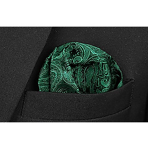 Alizeal Mens Paisley Tie Handkerchief Casual Floral Necktie Set