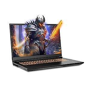Sager 2023 NP8875D Gaming Laptop, 17.3 Inch QHD 240Hz 100% DCI-P3 G-Sync, Intel i9-13900HX, RTX 4060 8GB, 32GB RAM, 2TB Gen4 NVMe SSD, Win 11